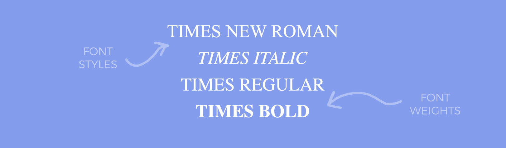 3 Web Design Tips for Beginners - Ridge Marketing