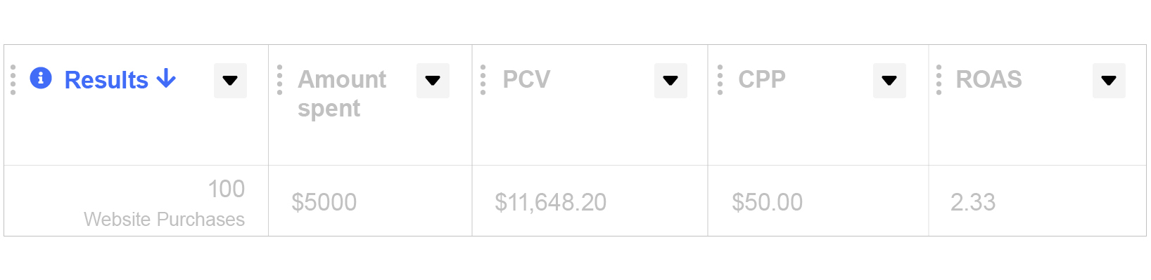 3 Key Metrics for Tracking Successful Meta Ad Campaigns - Ridge Marketing